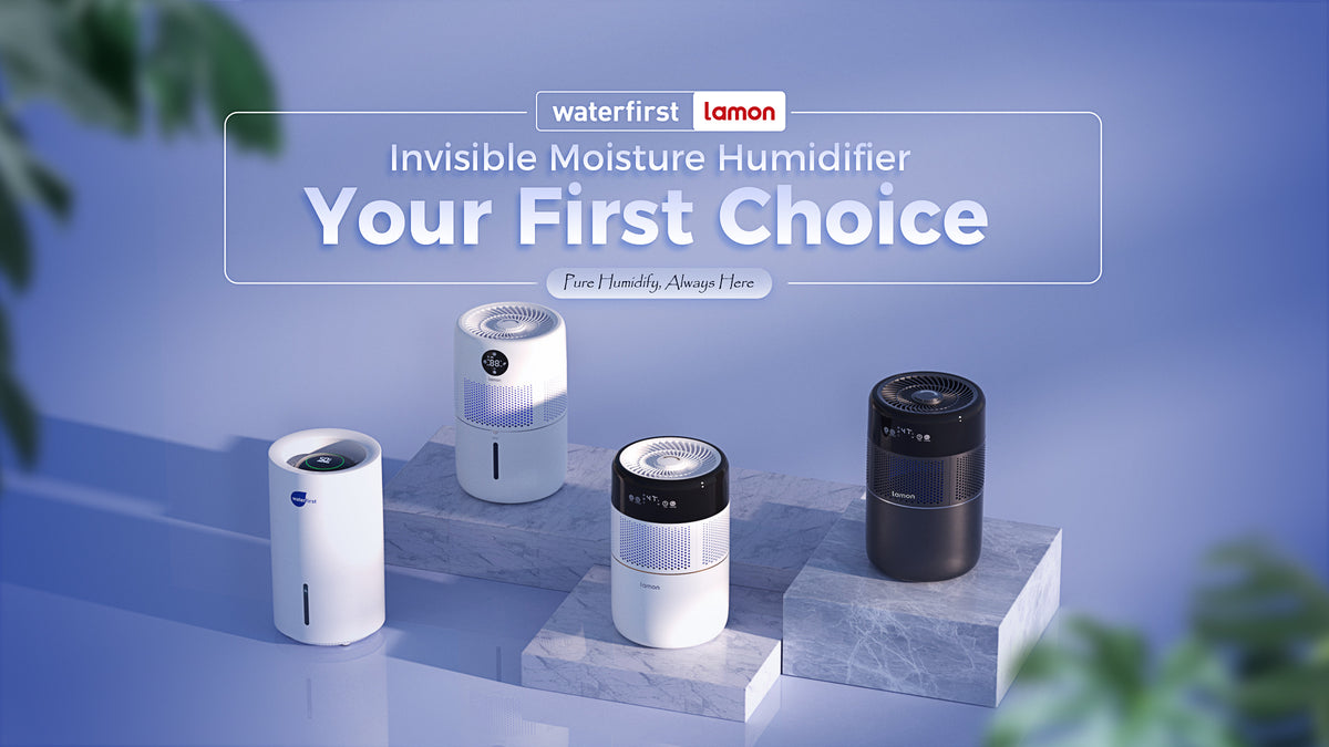 WaterFirst- Water Should Be Water